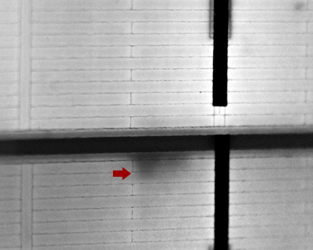 SWIR Technology Cameras & Sensors, SWIR Wavelength Range Products | GHOPTO